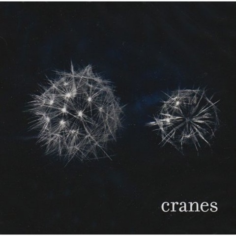 Band: Cranes | Addicted to Media